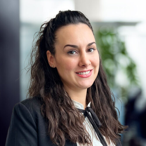 Über uns — SwissFEX